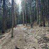 Nambe Lake Trail, New Mexico - 2,531 Reviews, Map | AllTrails