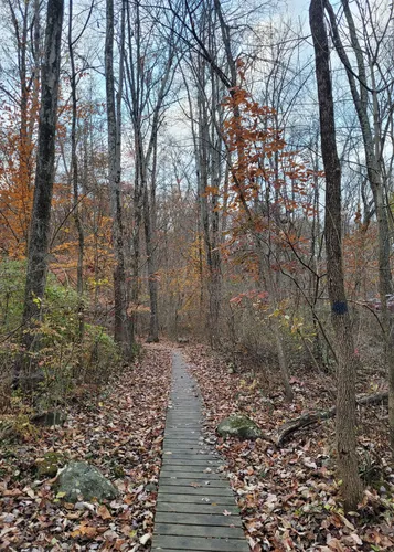Best Hikes and Trails in Monocacy Hill Recreation Area | AllTrails