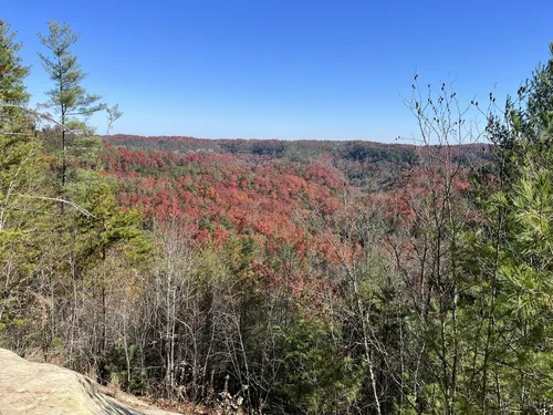 Best Waterfall Trails in Red River Gorge Geological Area | AllTrails