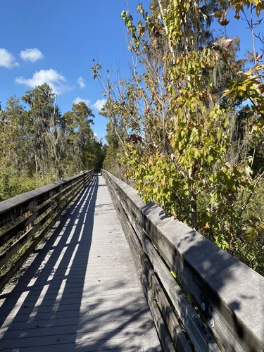 Best Walking Trails in Circle B Bar Preserve | AllTrails