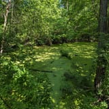 Pyramid State Park Loop Trail, Illinois - 235 Reviews, Map | AllTrails