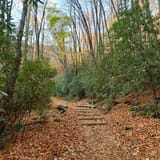 Mouse Creek Falls via Big Creek Trail, Tennessee - 2,538 Reviews, Map ...