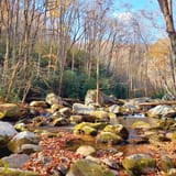 Mouse Creek Falls via Big Creek Trail, Tennessee - 2,538 Reviews, Map ...