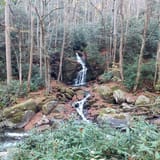 Mouse Creek Falls via Big Creek Trail, Tennessee - 2,538 Reviews, Map ...