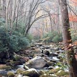 Mouse Creek Falls via Big Creek Trail, Tennessee - 2,538 Reviews, Map ...