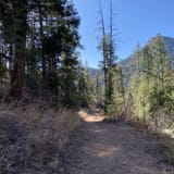 Columbine Trail, Colorado - 1,888 Reviews, Map | AllTrails