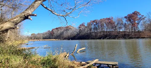 Best Hikes and Trails in Salem | AllTrails