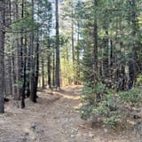 Bassi Falls via Towering Rocks Trail, California - 390 Reviews, Map ...