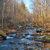 Mouse Creek Falls via Big Creek Trail, Tennessee - 2,538 Reviews, Map ...