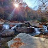Mouse Creek Falls via Big Creek Trail, Tennessee - 2,538 Reviews, Map ...