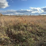 Luton Park Trail, Michigan - 1,434 Reviews, Map | AllTrails