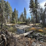 Circle Meadow Loop via Congress and General Sherman Tree Trail ...