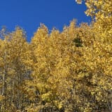 Turtle Rock Loop Trail, Wyoming - 1,084 Reviews, Map | AllTrails
