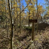 Turtle Rock Loop Trail, Wyoming - 1,084 Reviews, Map | AllTrails