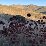 Prewett Point Trail, California - 183 Reviews, Map | AllTrails