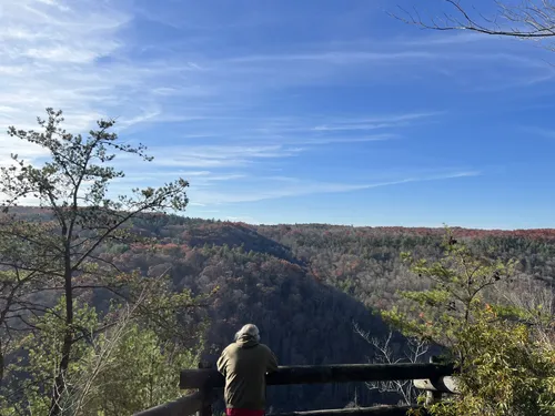 2023 Best Waterfall Trails in Oneida | AllTrails