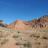 Yellow Knolls Trail, Utah - 437 Reviews, Map | AllTrails
