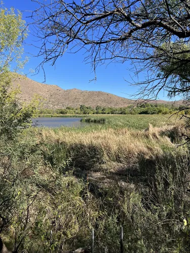 Best 10 Hiking Trails in Patagonia Lake State Park | AllTrails