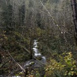 Wilson River Trail - Footbridge Trailhead Westward toward Keenig Creek ...
