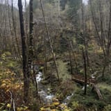 Wilson River Trail - Footbridge Trailhead Westward toward Keenig Creek ...