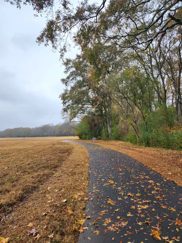 2023 Best Paved Trails in Ball Ground | AllTrails