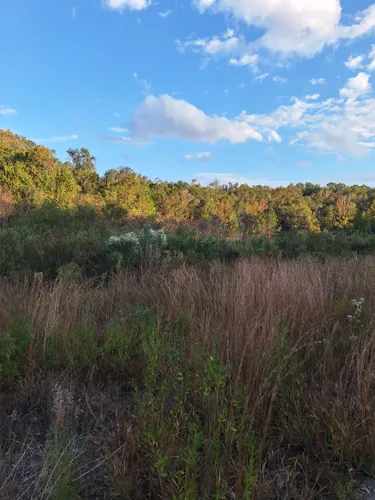 Best Hikes and Trails in Hidden Waters Preserve | AllTrails