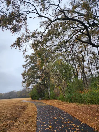 2023 Best Paved Trails in Ball Ground | AllTrails
