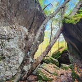 Leatherman Cave and Crane's Lookout Trail, Connecticut - 885 Reviews ...