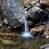 Daniel Ridge Loop, North Carolina - 1,793 Reviews, Map | AllTrails