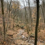 Daniel Ridge Loop, North Carolina - 1,793 Reviews, Map | AllTrails