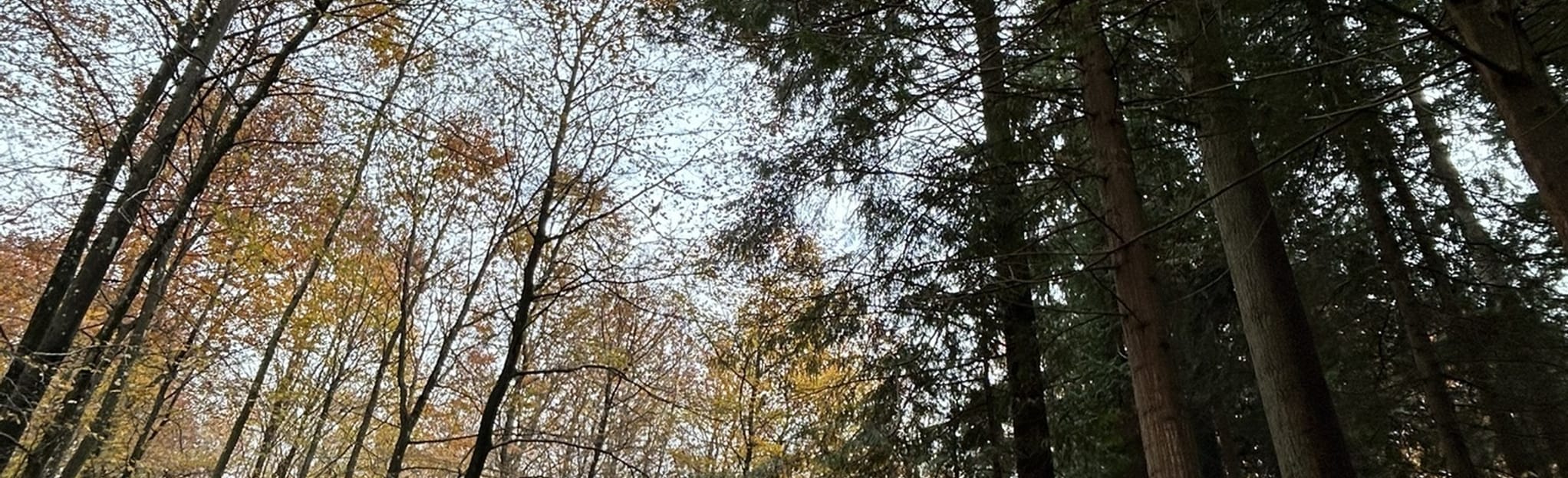 Bidstrup Skovene via Skjoldennæsvej, Region Zealand, Denmark - Map ...