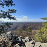 Strickler Knob Trail, Virginia - 534 Reviews, Map | AllTrails