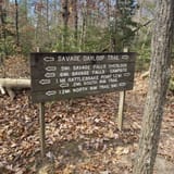 Savage Falls, Tennessee - 716 Reviews, Map | AllTrails