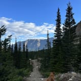 Mount Haig Lake Trail, Alberta, Canada - 403 Reviews, Map | AllTrails