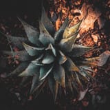 Yeager Canyon Loop Trail, Arizona - 631 Reviews, Map | AllTrails