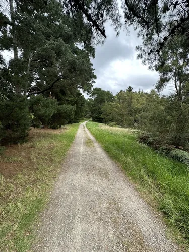 Best 10 Hiking Trails in Devilbend Natural Features Reserve | AllTrails