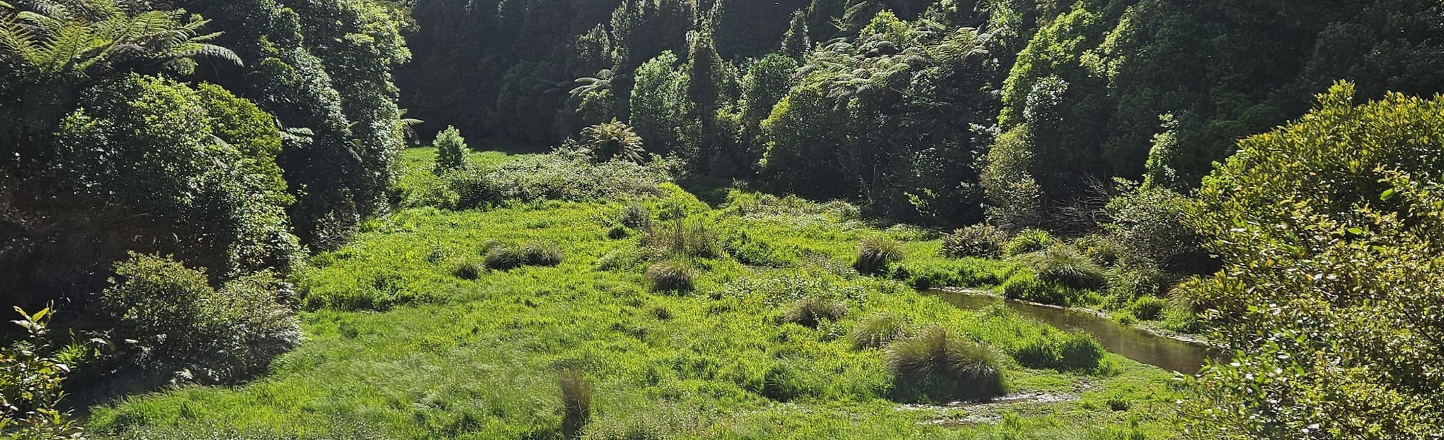Korokoro Dam via Korokoro Stream Track, Wellington, New Zealand - 170 ...