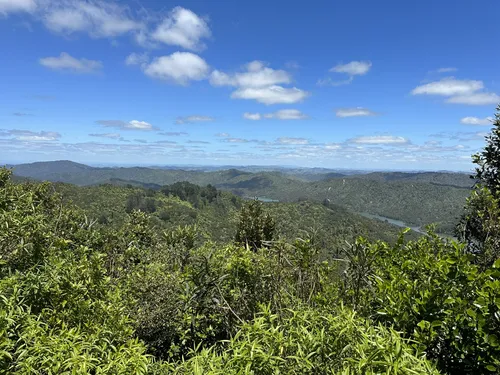 10 Best Hikes and Trails in Hunua Ranges Regional Park | AllTrails