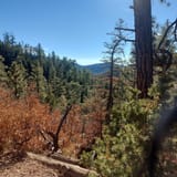 Chamisa Trail, New Mexico - 1,241 Reviews, Map | AllTrails
