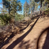 Chamisa Trail, New Mexico - 1,241 Reviews, Map | AllTrails