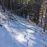 Mount Esther Trail, Colorado - 388 Reviews, Map | AllTrails