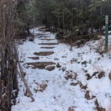 Mount Esther Trail, Colorado - 448 Reviews, Map | AllTrails