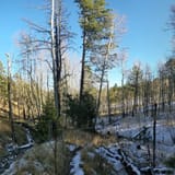 Mount Esther Trail, Colorado - 388 Reviews, Map | AllTrails