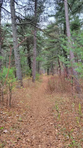 Best Hikes and Trails in Park Point Recreation Area | AllTrails