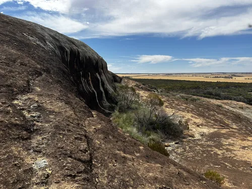Best Hikes and Trails in The Humps Nature Reserve | AllTrails