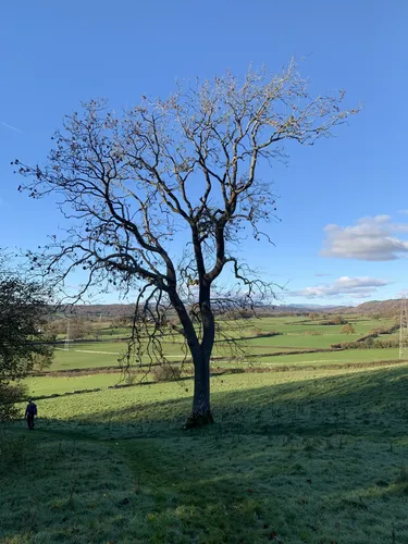 2023 Best Pub Walks in Grange-over-Sands | AllTrails