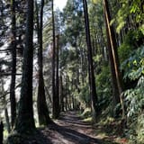 Furnas Lagoon Trail, Azores, Portugal - 300 Reviews, Map | AllTrails