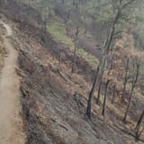 Mount Butak, East Java, Indonesia - 58 Reviews, Map | AllTrails