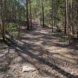 Mount Coot-tha Simpsons Falls Circuit, Queensland, Australia - 288 ...