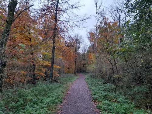 Best Hikes and Trails in Garvagh Forest | AllTrails